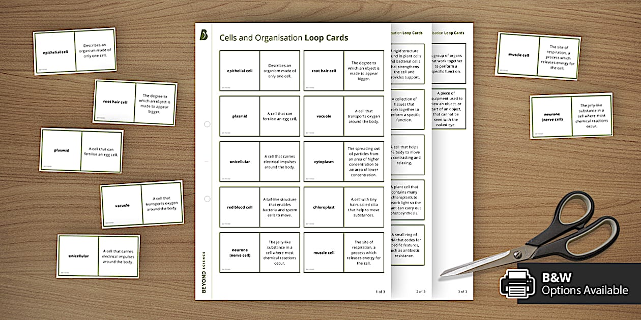 Cells Vocabulary Cards | Biology (teacher made) - Twinkl