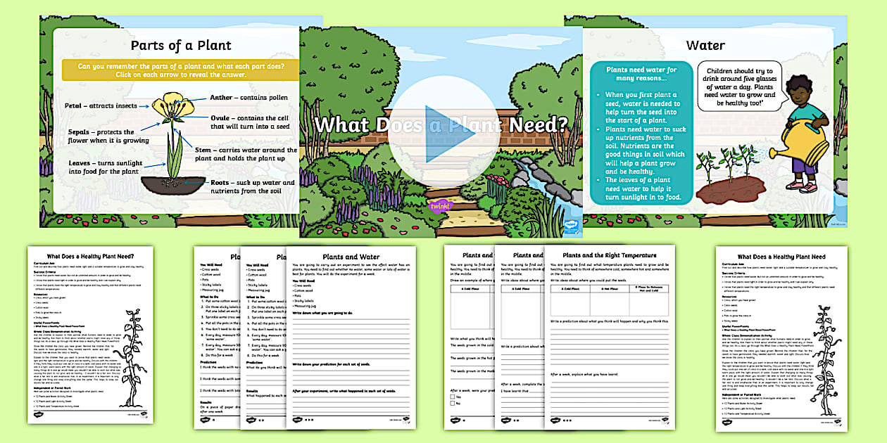 Y2 Plants: Find Out and Describe How Plants Need Water, Light and a ...