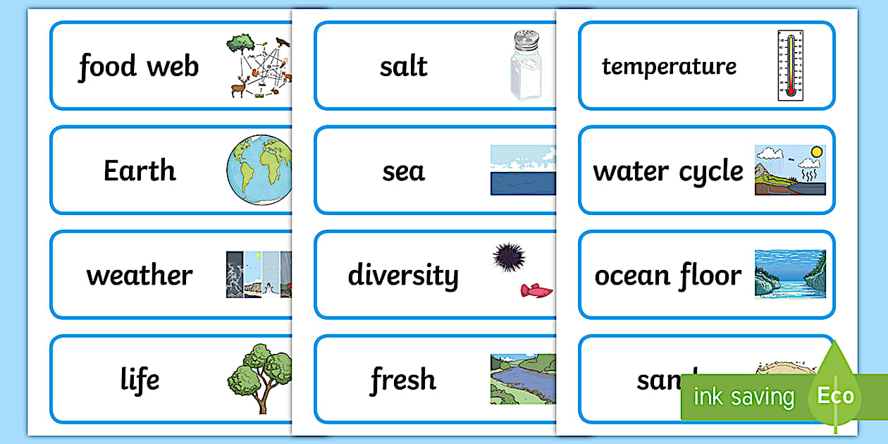 F-2 Sea Week Word Cards (teacher made) - Twinkl