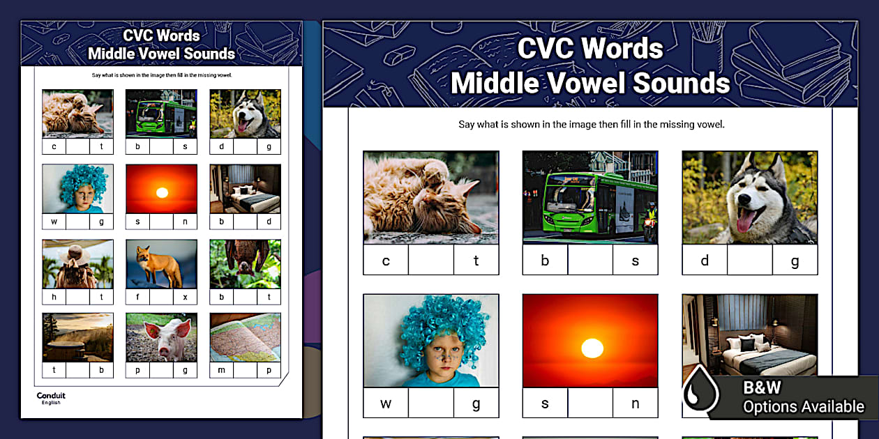 Reinforcing CVC Words: Missing Middle Sound Activity Sheet