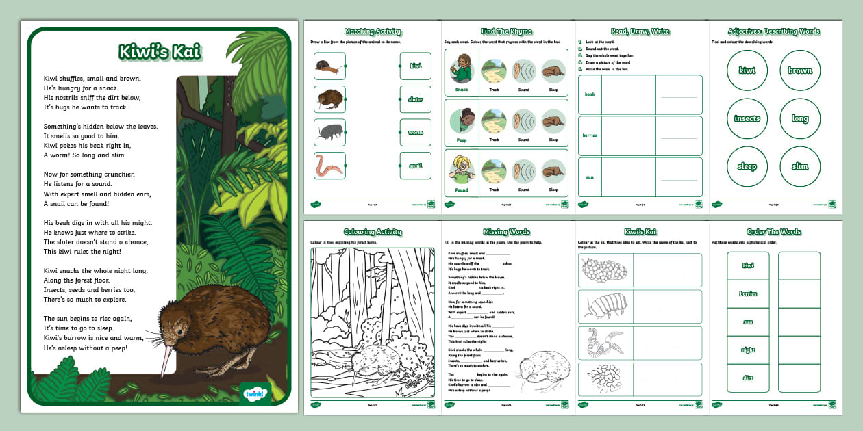 Kiwi's Kai: Activity Pack