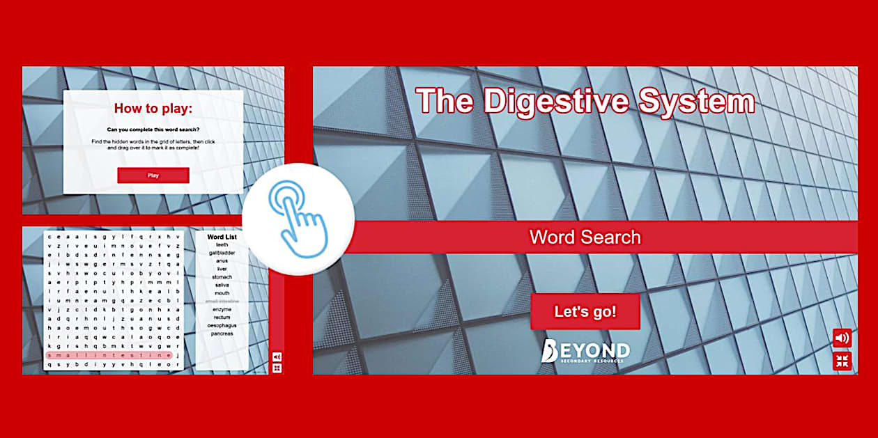 Digestive System Word Search Game (teacher made) - Twinkl