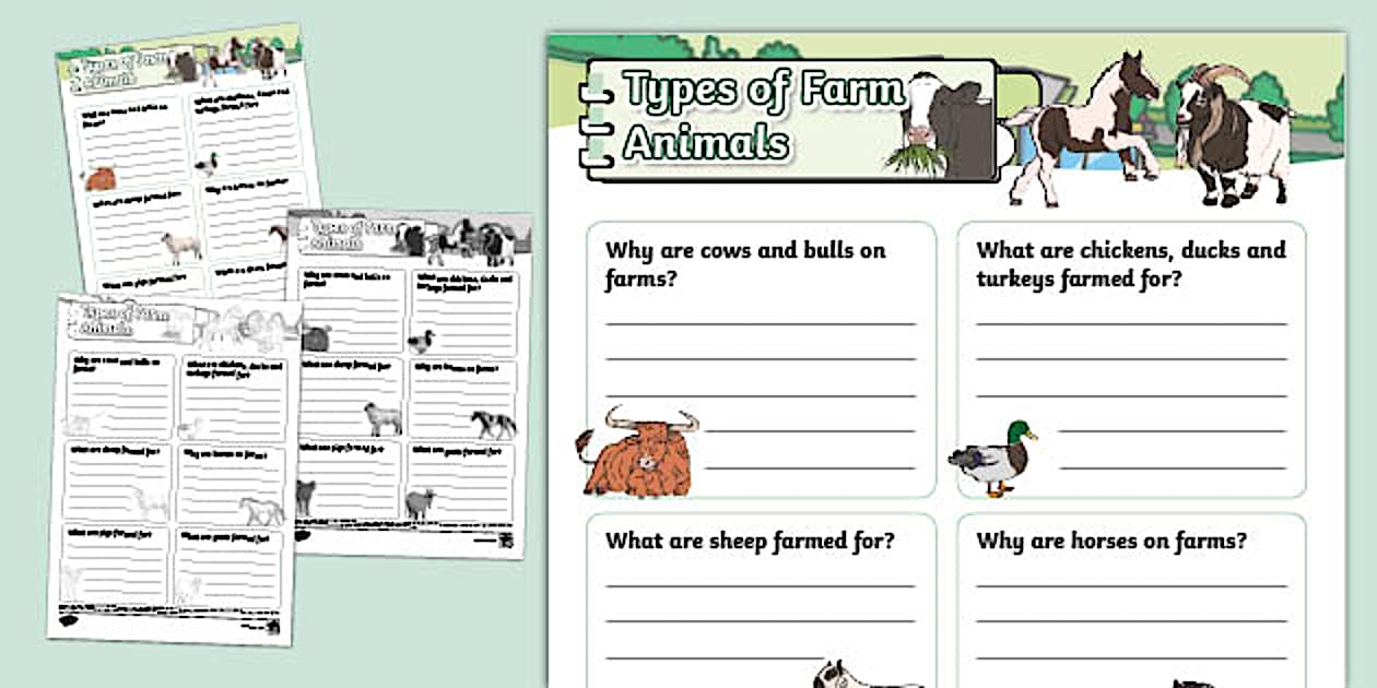 Farm Animals Fact File Template, All About Farm Animals