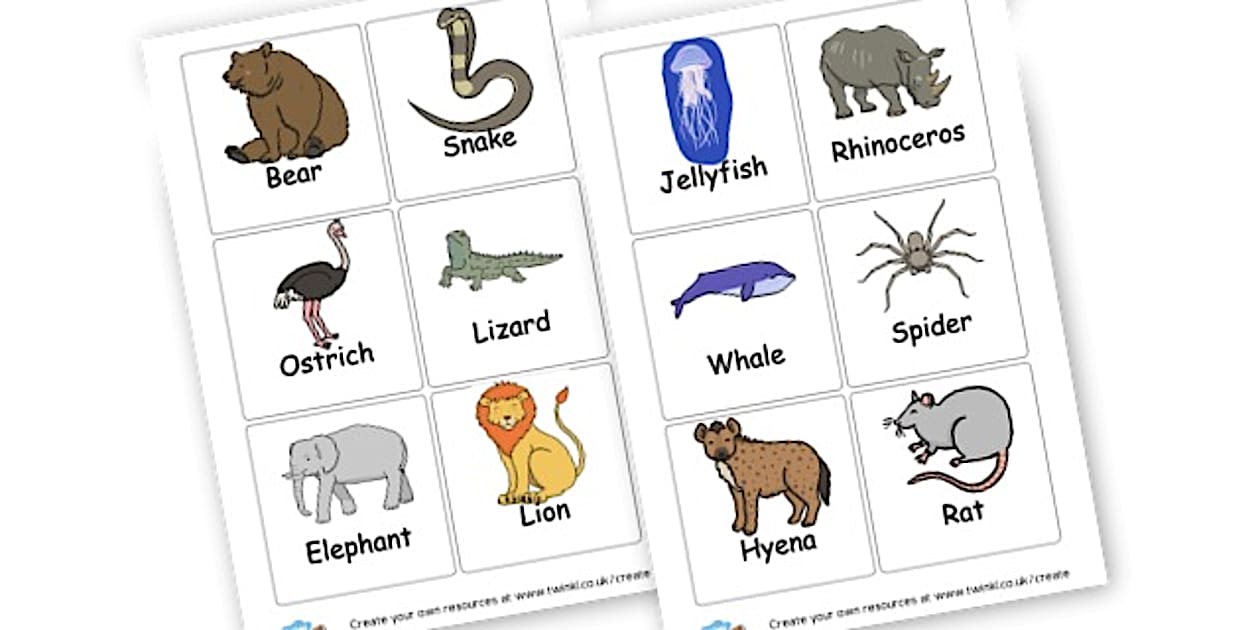 Animal Flashcards (teacher made) - Twinkl