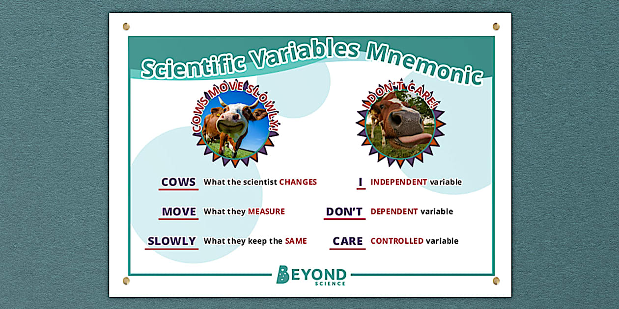 Types of Variables Mnemonic Poster (teacher made) - Twinkl