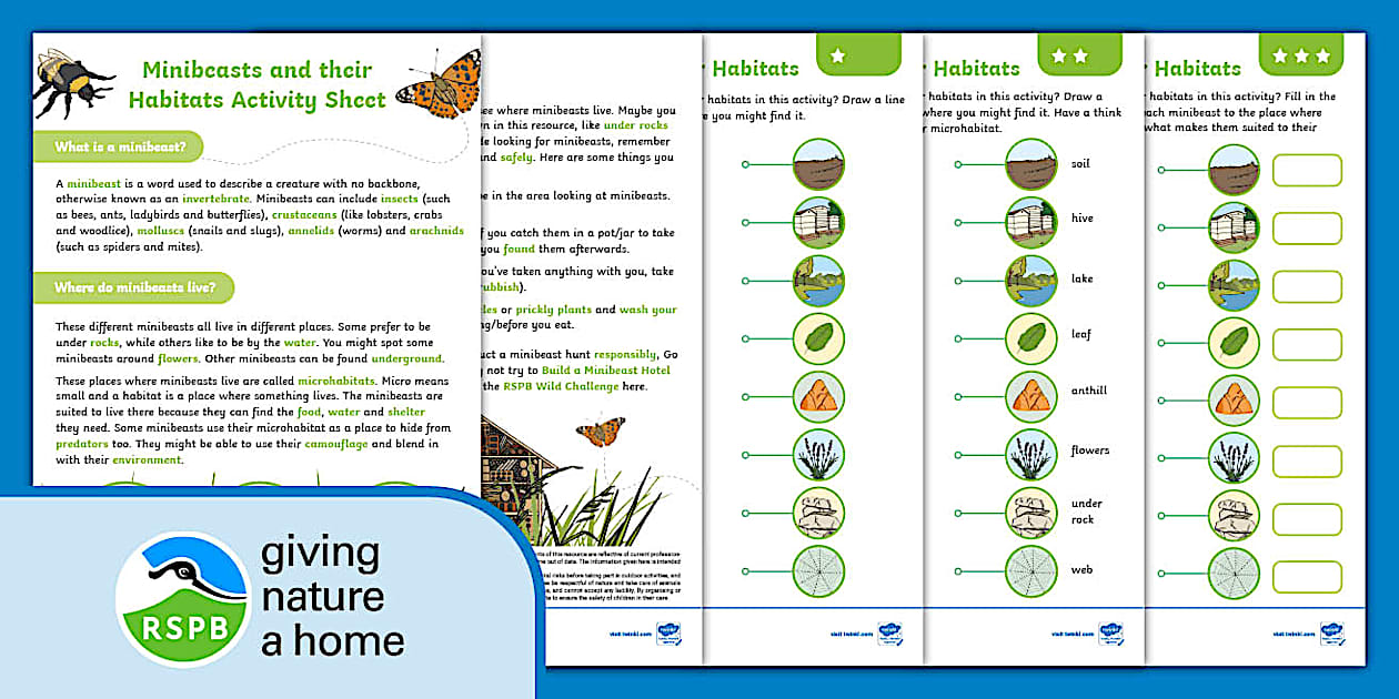 FREE! - Minibeasts and Their Habitats Activity Sheet (Ages 5 - 7)