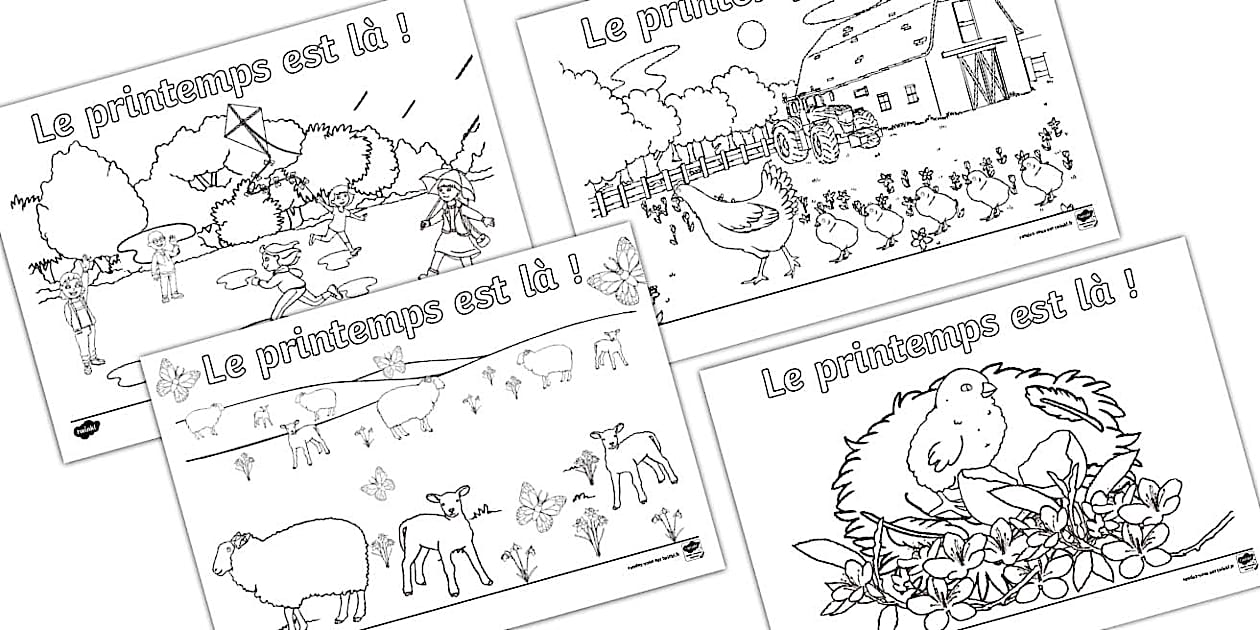 Le printemps est là ! - coloriages (teacher made) - Twinkl