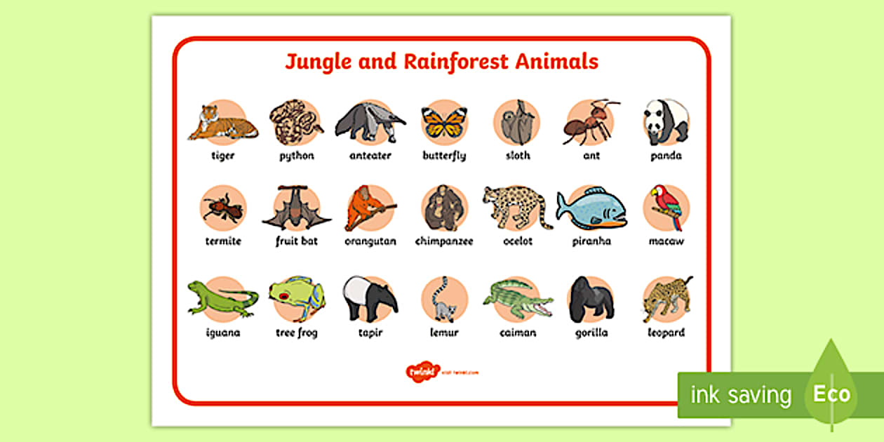 Jungle and Rainforest Word Mat | Ages 3–7 | Twinkl Resources