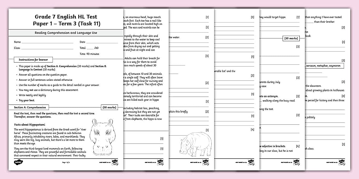 English Grade 7 Term 3 Test Papers | Twinkl South Africa