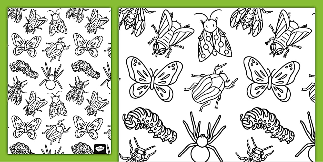 Minibeasts Doodle Colouring Page (teacher made) - Twinkl