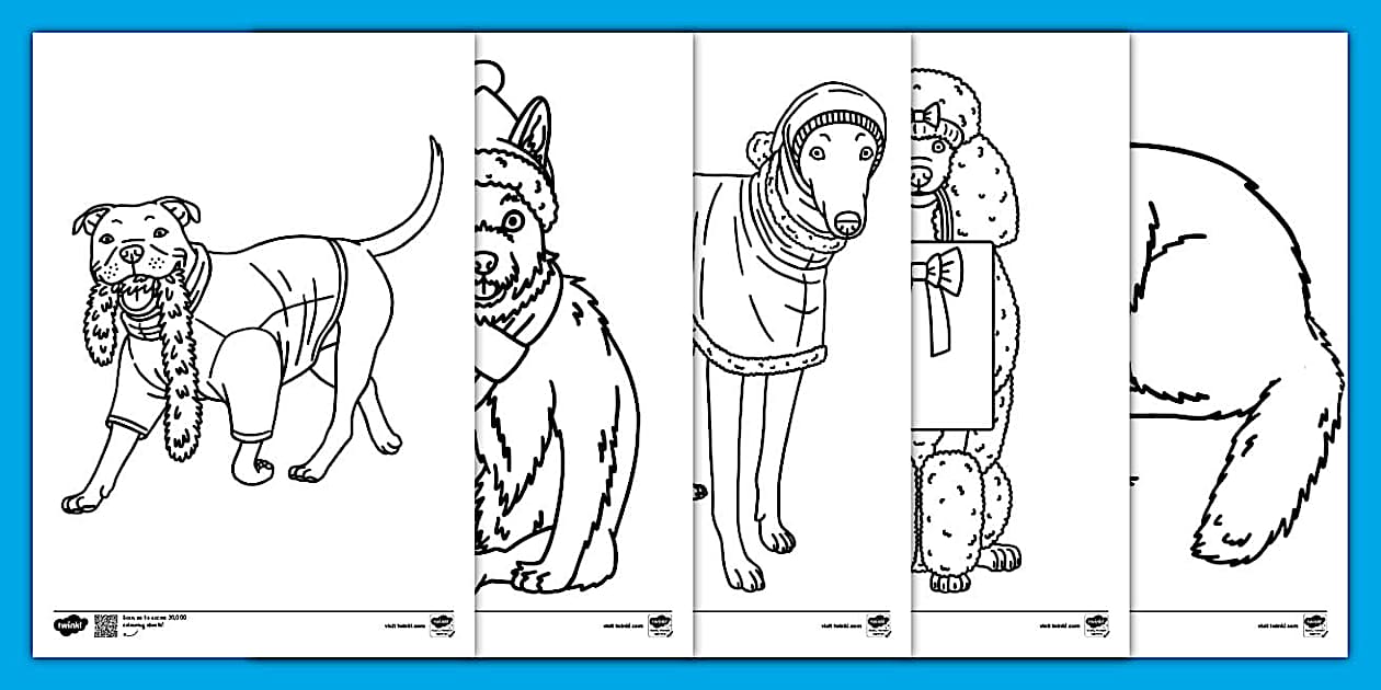 Festive Cats and Dogs Colouring Pages - Twinkl - KS1