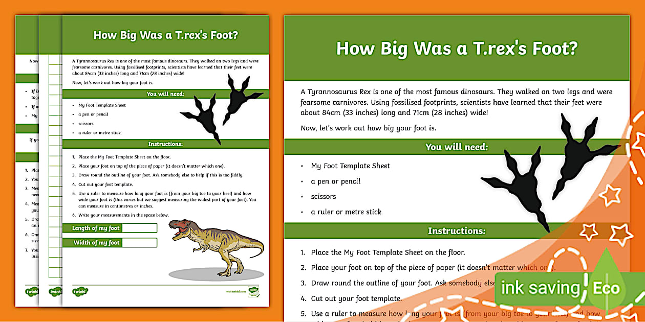How Big Was a T. rex's Foot? Activity - Twinkl