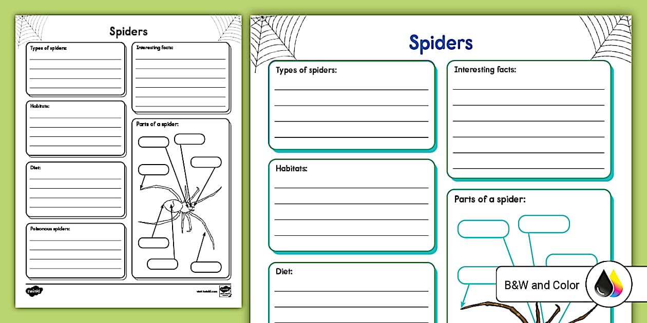 Spider Research Worksheet for K-2nd Grade