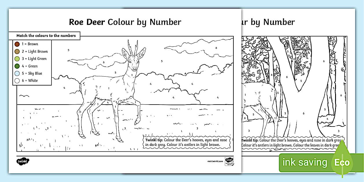 Two Roe Deer Colour-by-Number Pages | Twinkl KS1 | Colouring