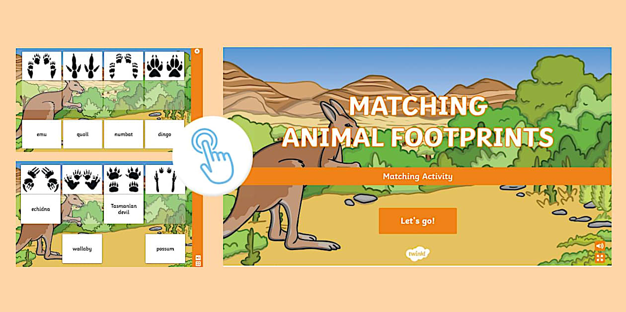 Matching Australian Animal Footprints Game (teacher made)