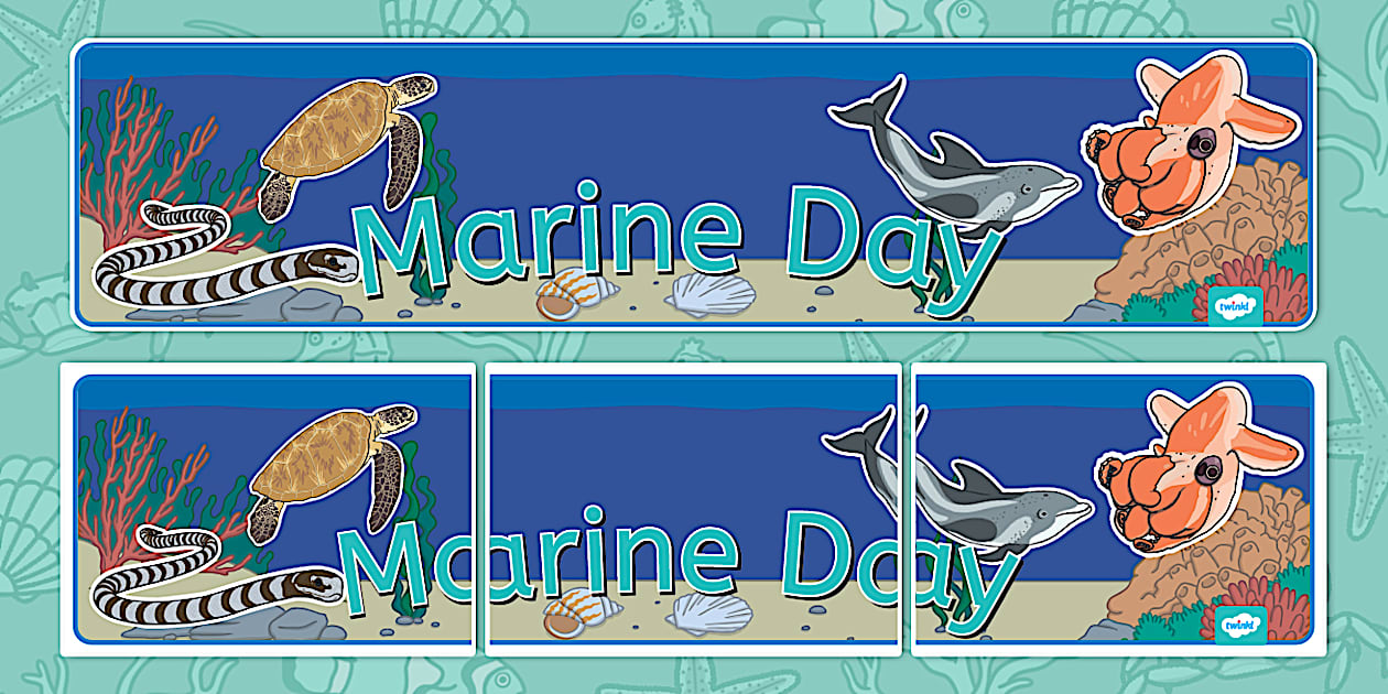 Marine Day Display Banner (l'enseignant a fait) - Twinkl