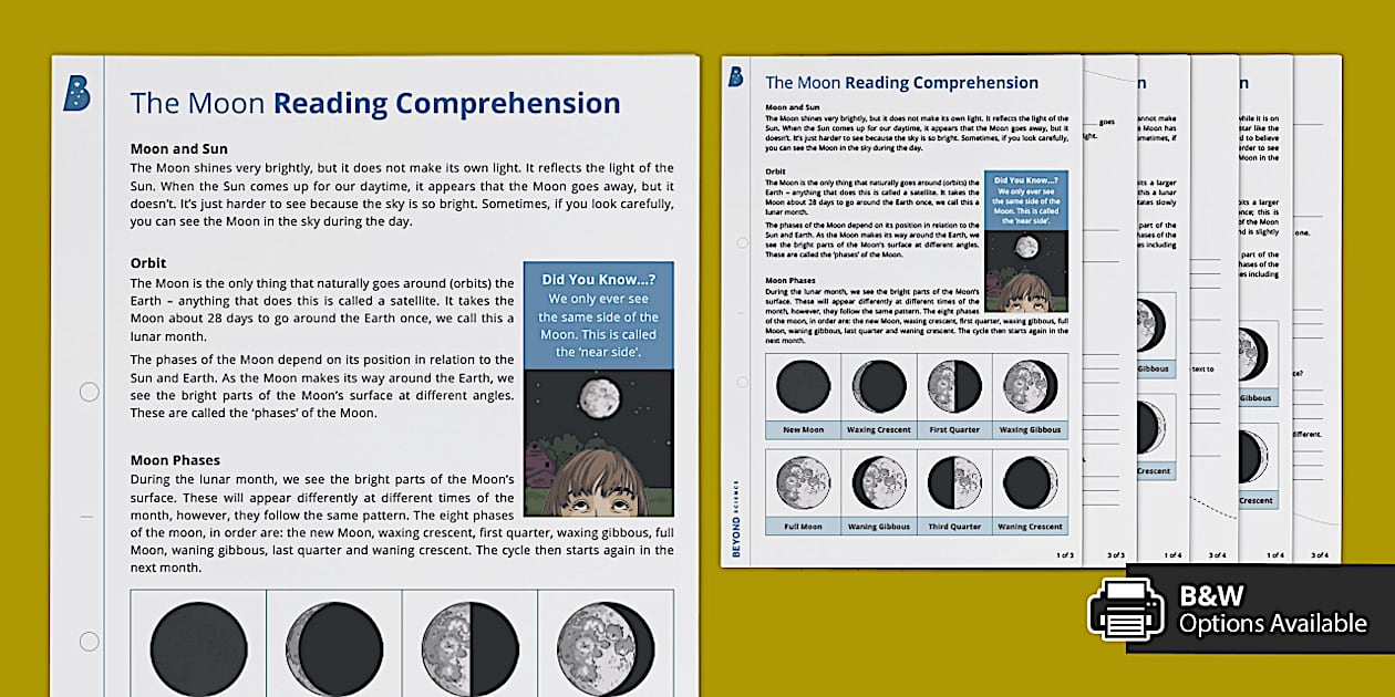 Moon Southern Hemisphere Differentiated Comprehension
