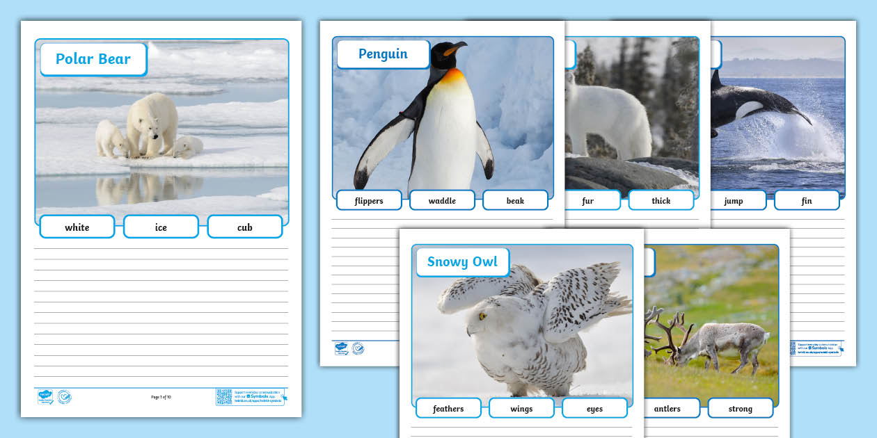 Cold Climate Animals Simple Sentence Photo Worksheets