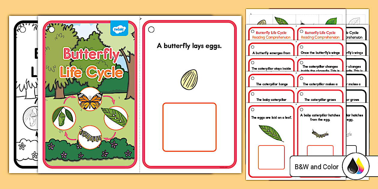 Butterfly Life Cycle PDF Reader for SPED | Twinkl USA