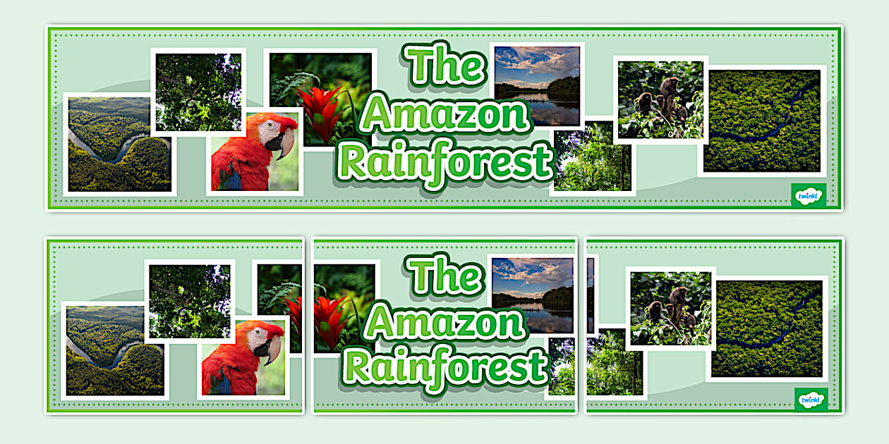 The Amazon Rainforest Photo Display Banner (teacher made)