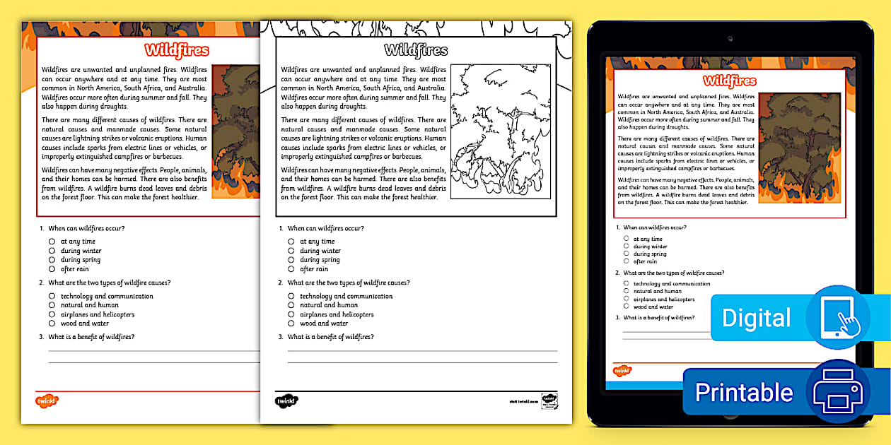 Third Grade Wildfires Reading Passage Comprehension Worksheet