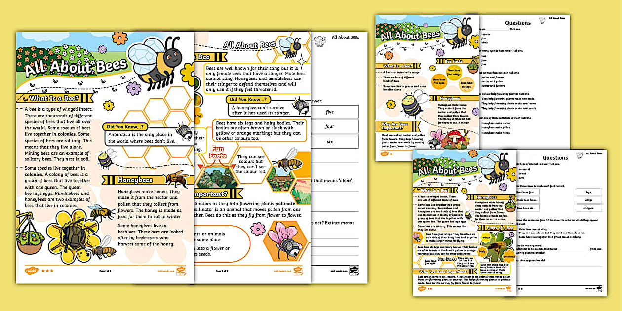 KS1 All About Bees Differentiated Reading Comprehension
