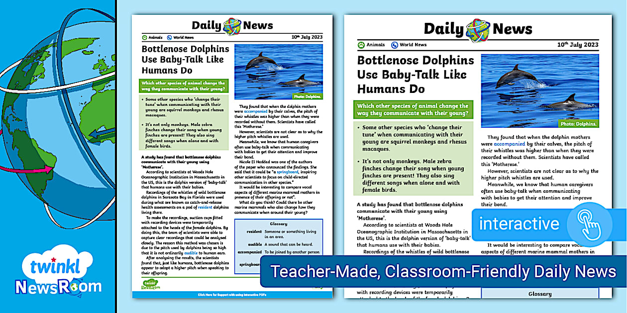 Bottlenose Dolphins Use Baby Talk | Twinkl NewsRoom - Twinkl