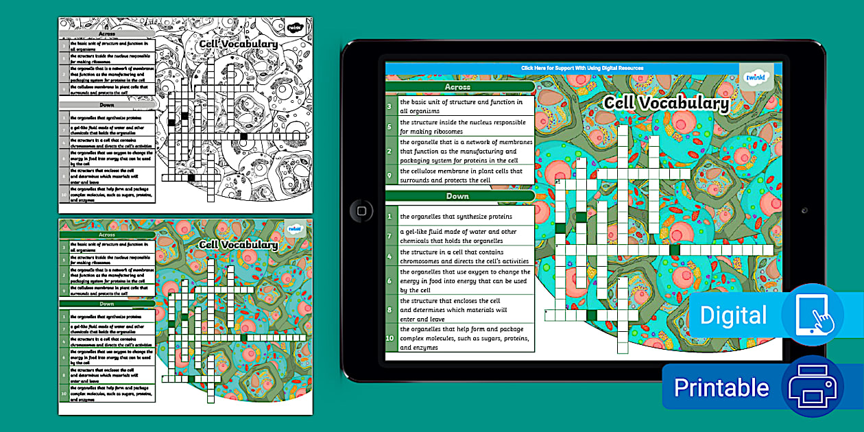 Cell Vocabulary Crossword for 6th-8th Grade