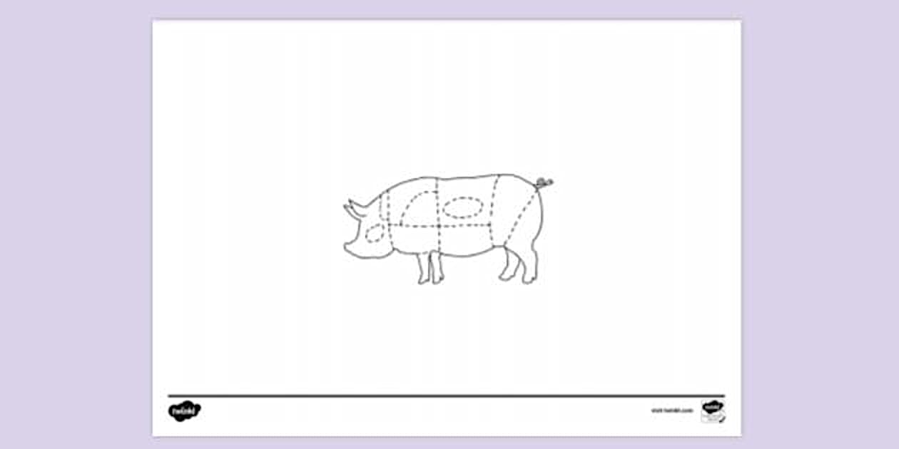Pork Cuts Colouring | KS1 Colouring Sheets | Twinkl - Twinkl