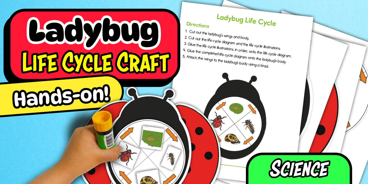 Ladybug Life Cycle Craft for K-2nd Grade (Teacher-Made)
