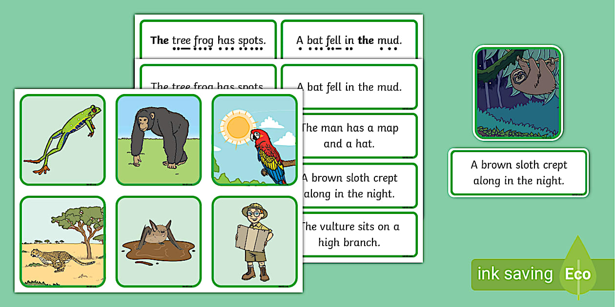 In the Jungle Simple Sentence Matching Activity - Twinkl