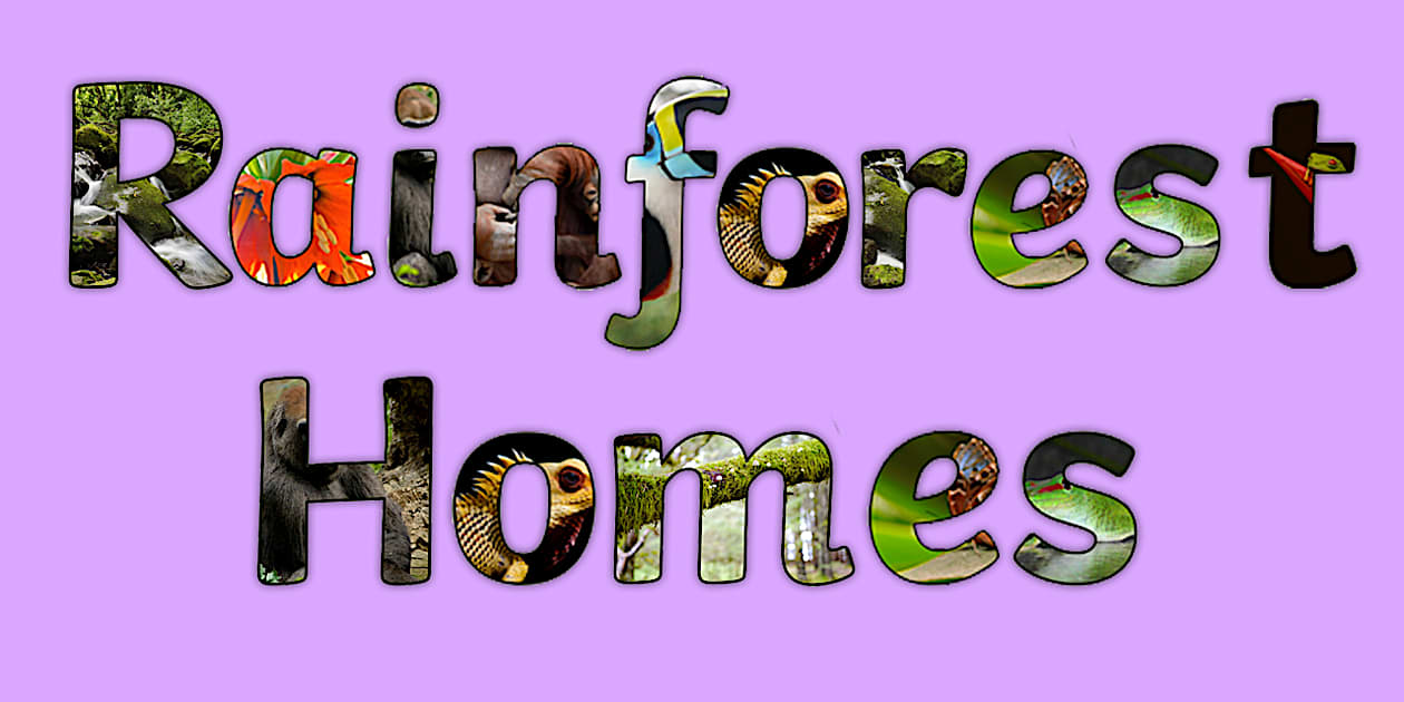 The Rainforest Photo Display Lettering (teacher made)