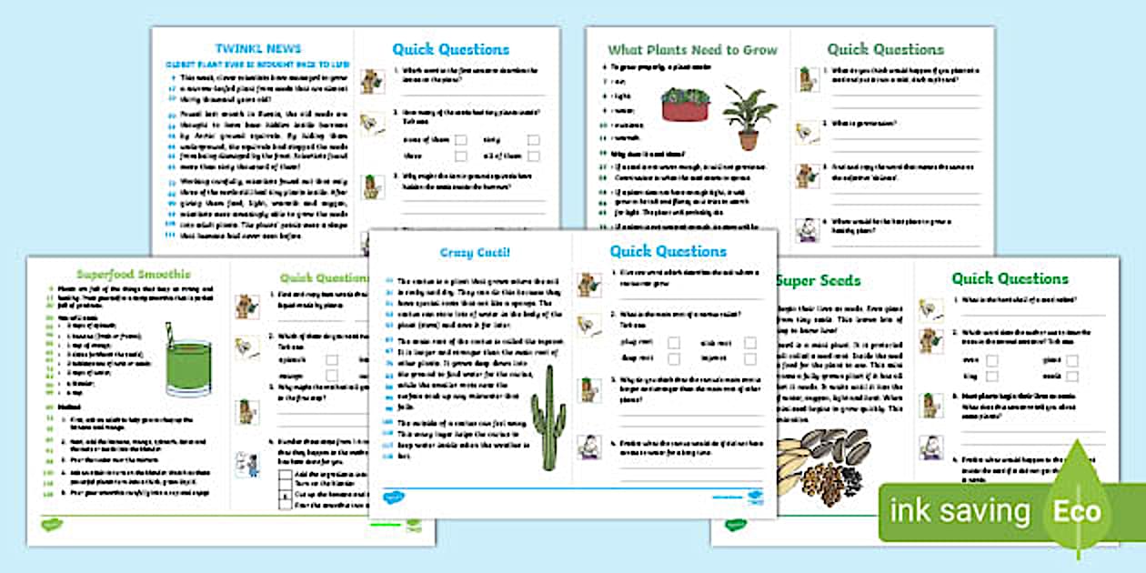 Grade 2/3 English 1-Minute Reading Cards Plants (CAPS)