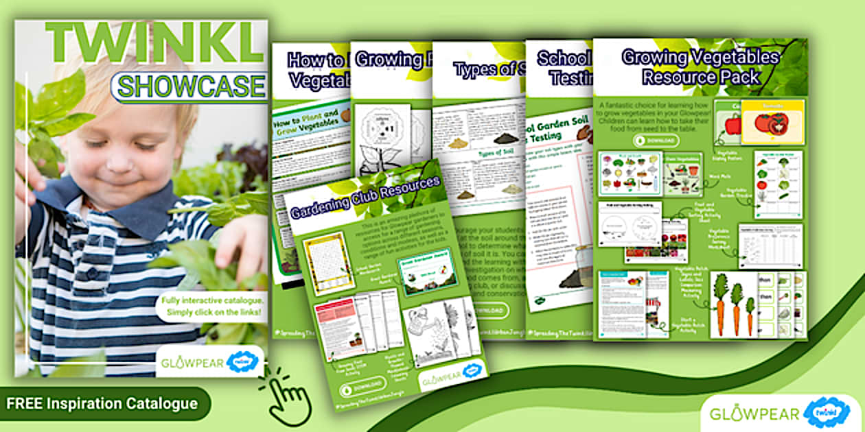 Twinkl Showcase Glowpear (Hecho por educadores) - Twinkl