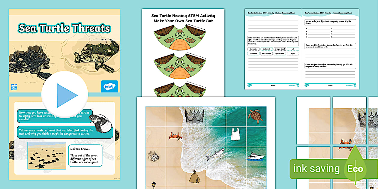 Sea Turtle Nesting STEM Activity (Compatible with Bee-Bots)