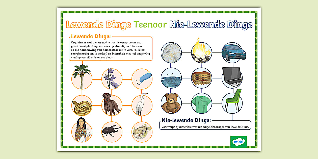 Lewend Teenoor Nie-Lewende Dinge (teacher made) - Twinkl