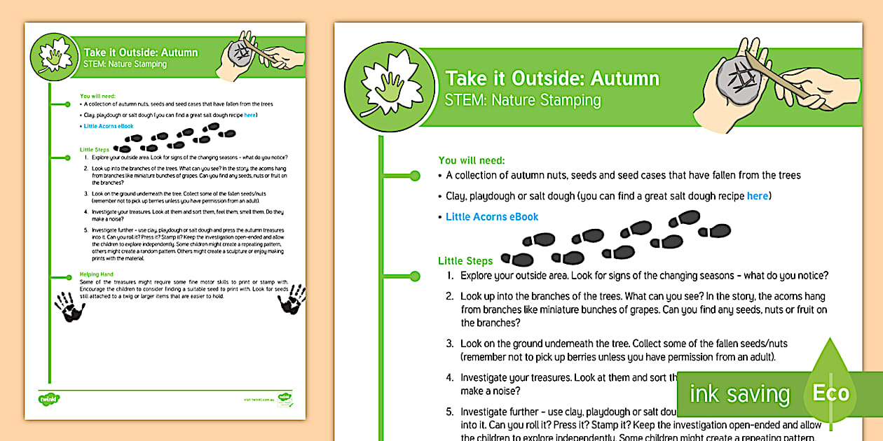 Nature Stamping STEM Activity