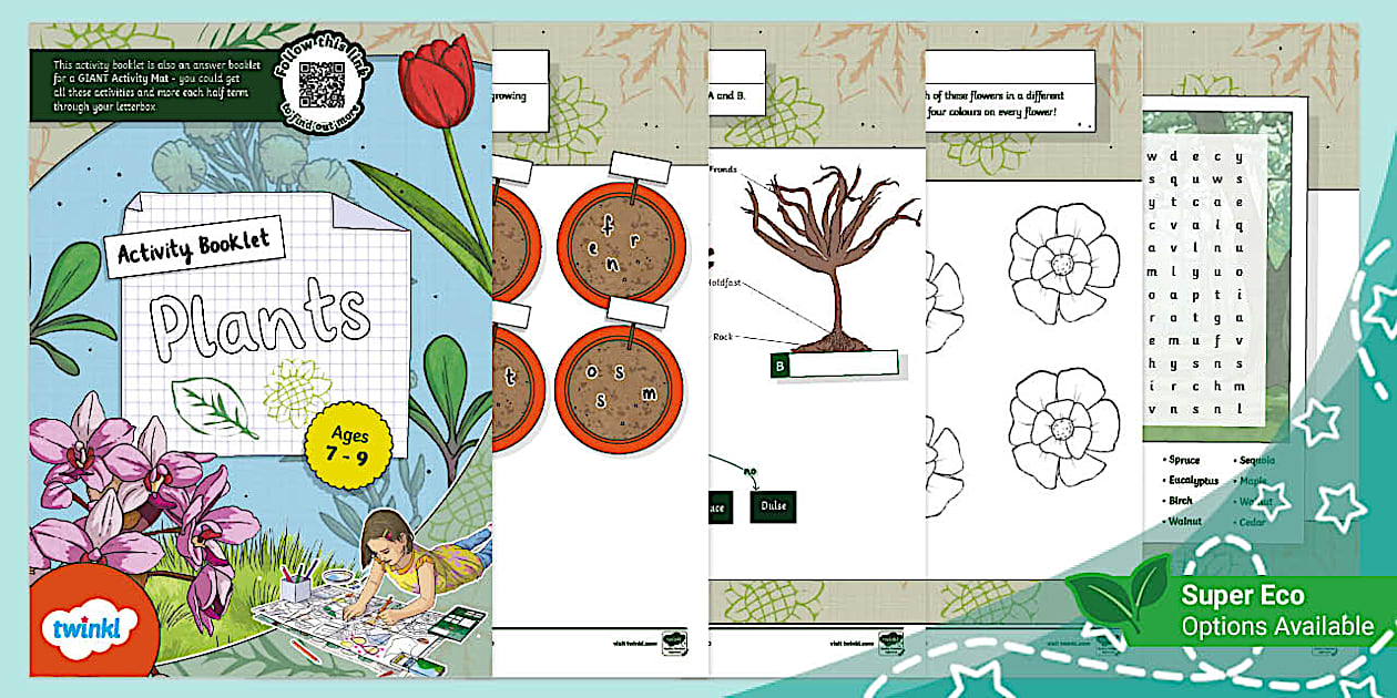 Plants Activity Booklet 7 to 9 years (Teacher-Made) - Twinkl
