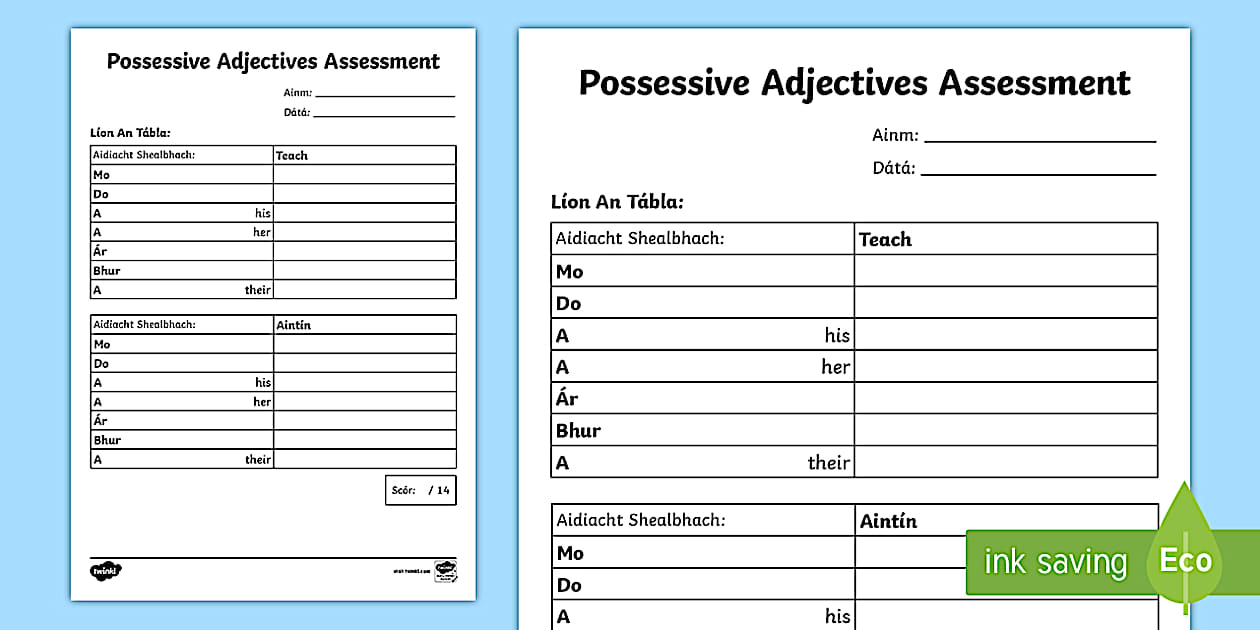 Aidiacht Shealbhach Bileog Oibre | Assessment Sheet