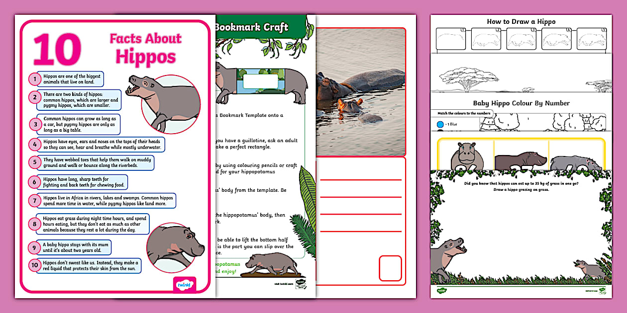 World Hippo Day Activity Pack (teacher made) - Twinkl