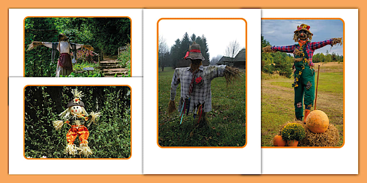 Scarecrow Display Photos (Hecho por educadores) - Twinkl