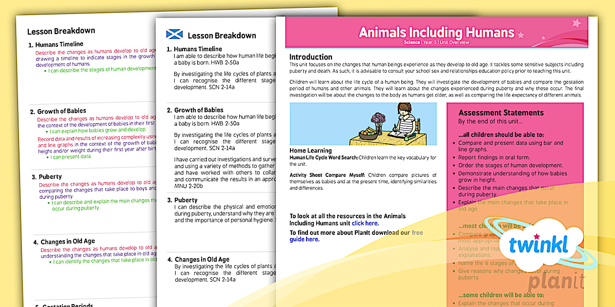 Science: Animals Including Humans Year 5 Planning Overview CfE