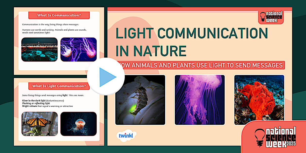 Light Communication in Nature (teacher made) - Twinkl