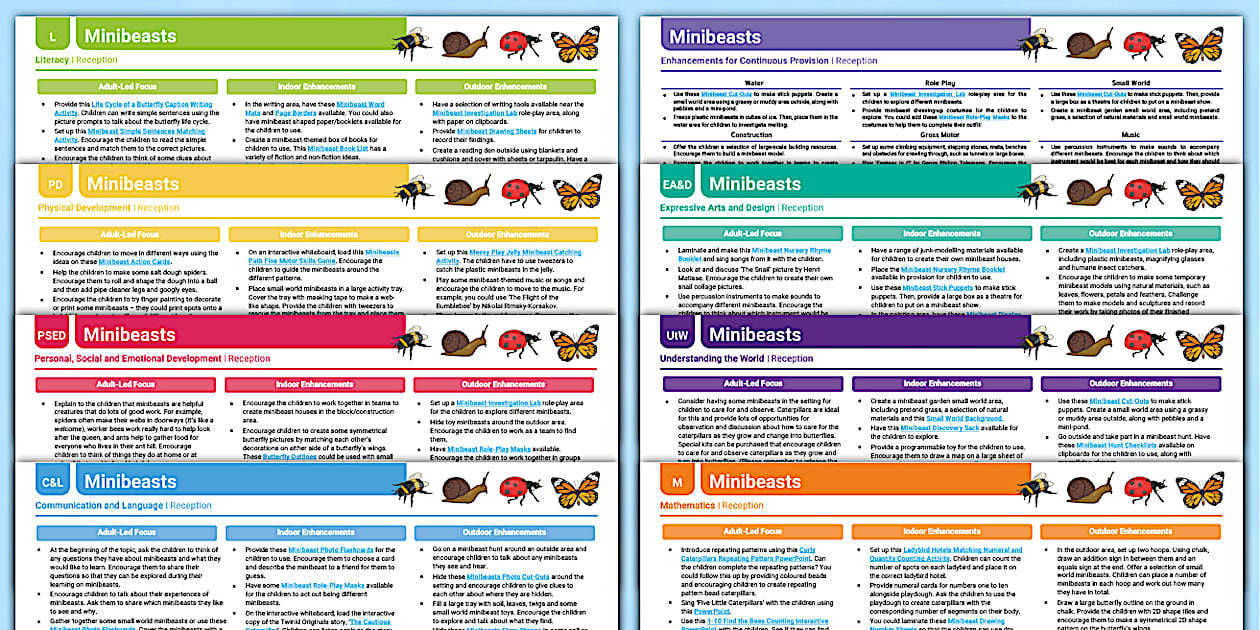 EYFS Minibeasts Activity Planning and Continuous Provision Ideas ...