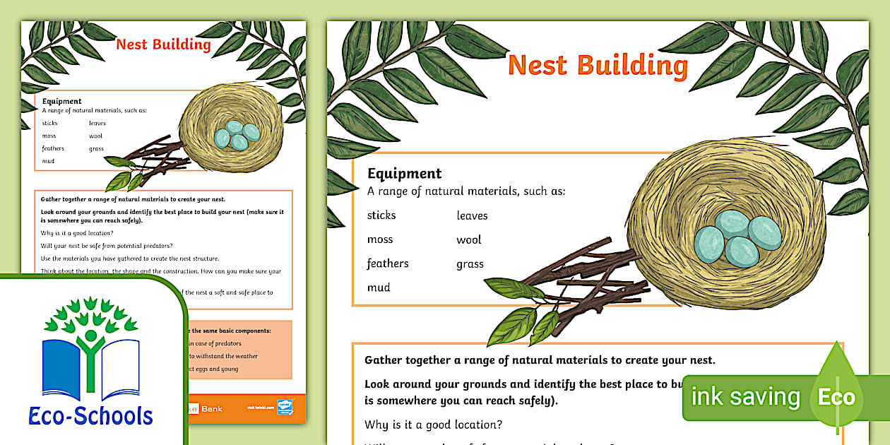FREE! - Eco-Schools NI: Outdoor Learning Nest Building