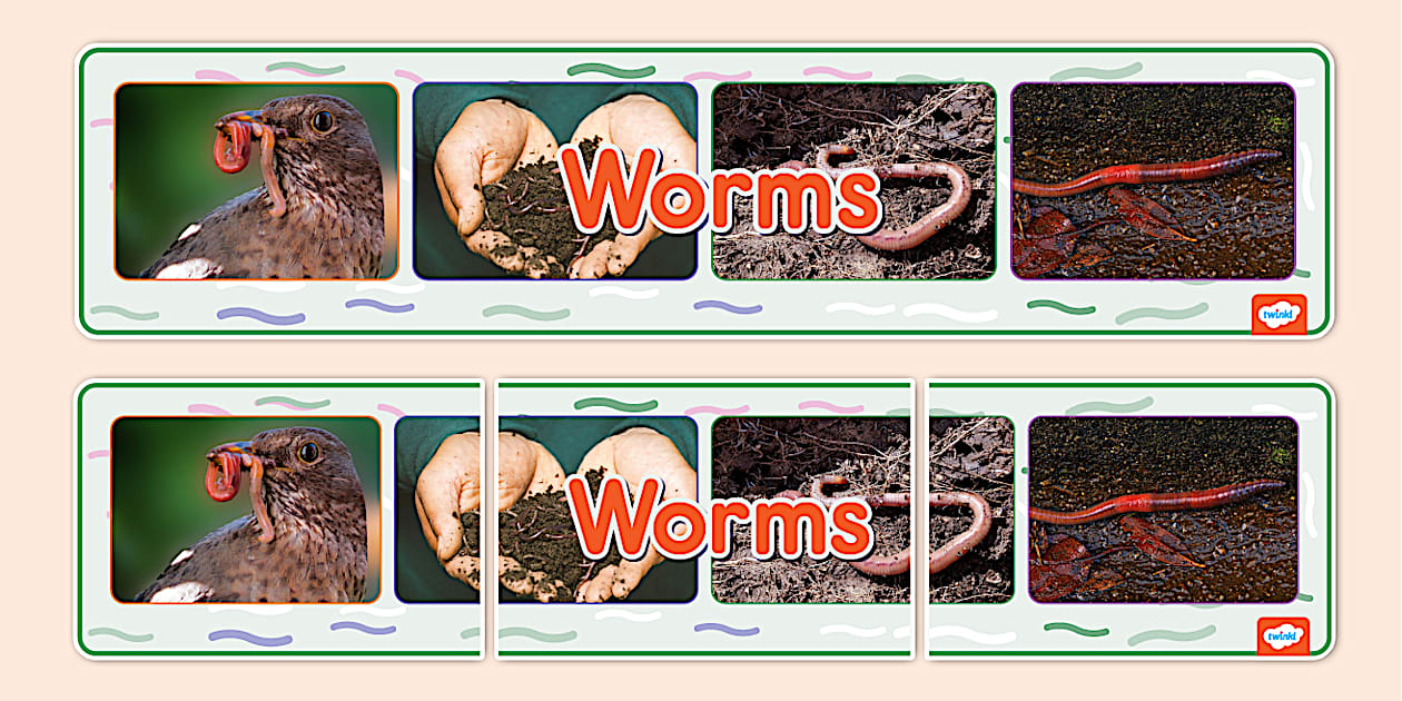 Worms Photo Display Banner (teacher made) - Twinkl
