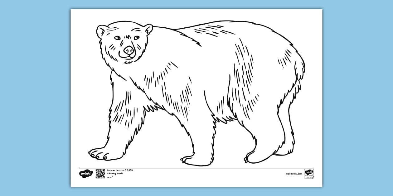 Polar Bear Colouring | Colouring Sheets - Twinkl