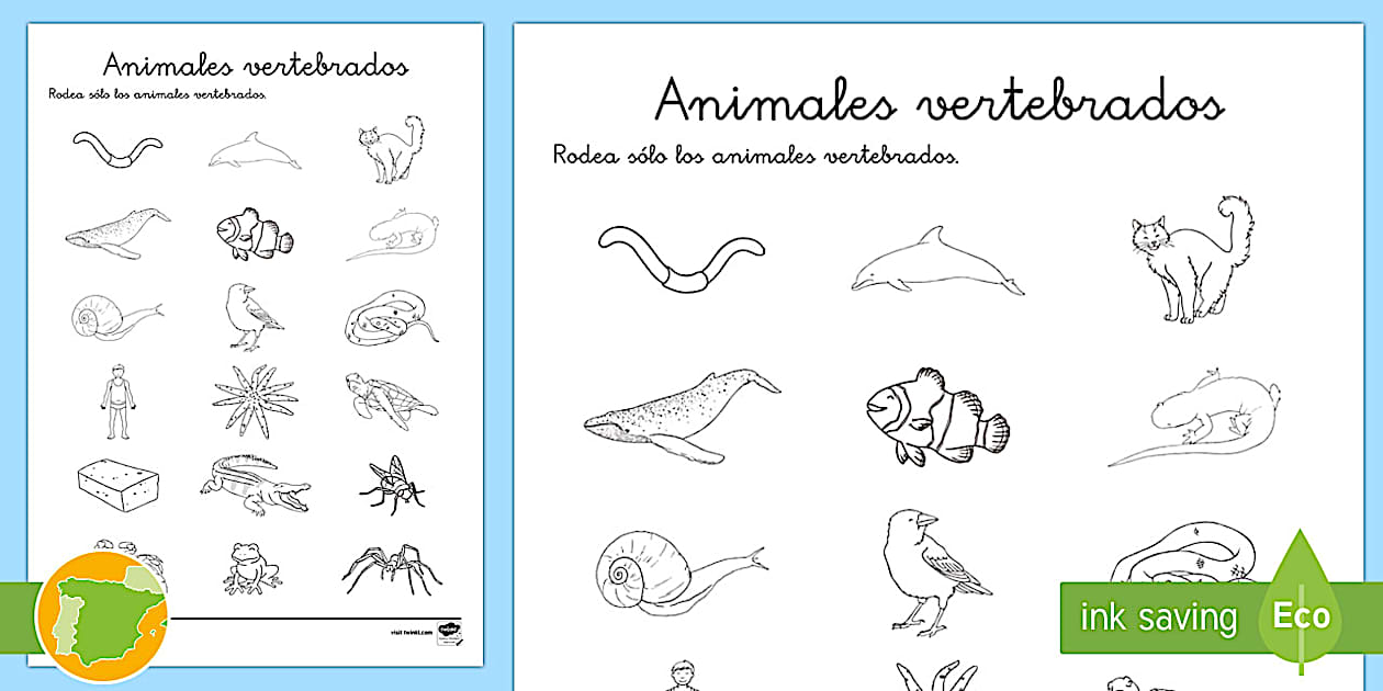 Ficha de actividad: Vertebrados o invertebrados