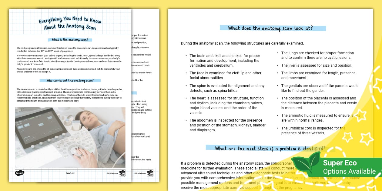 FREE! - Anatomy Scan Guide: Everything You Need to Know