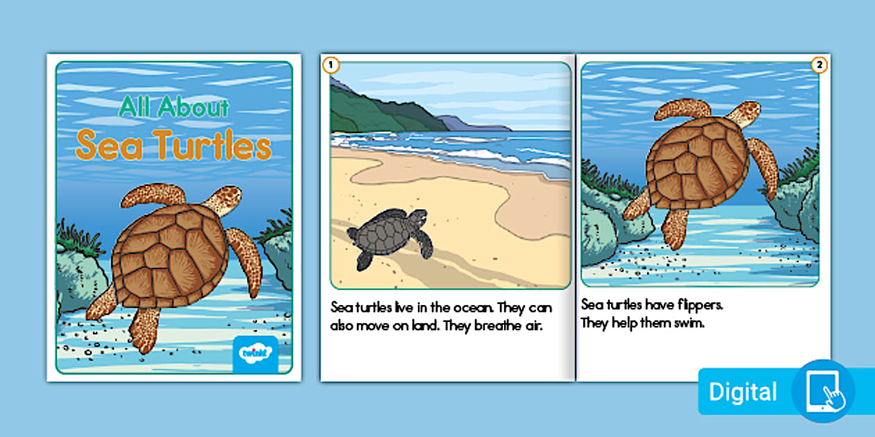 All About Sea Turtles Emergent Reader eBook | Twinkl USA